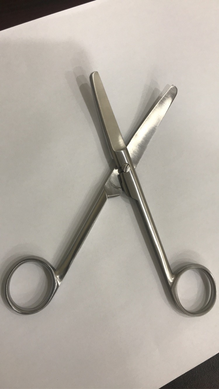Time Saving Scissors – Blackstone Scissors